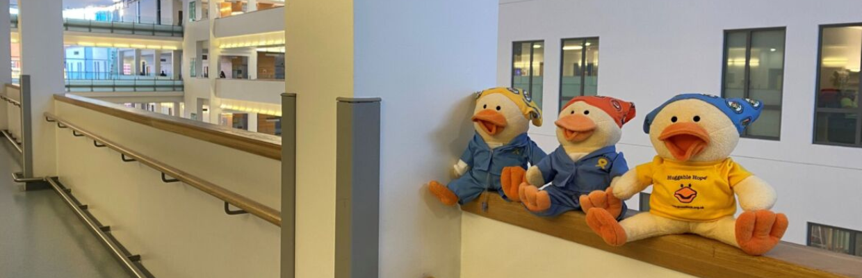 Newcastle Hospitals Charity partners with Give a Duck Foundation to ...