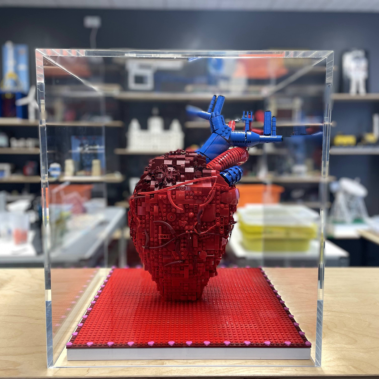 How Newcastle Hospitals Charity supports Organ Donation services ...